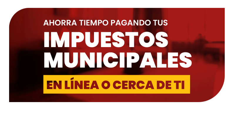 Pago de Municipios - Predios Municipales